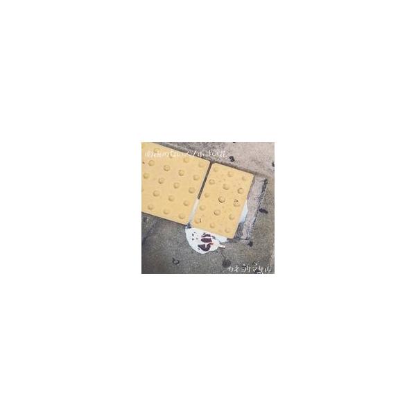 商品名：中古邦楽インディーズCD カネヨリマサル / 2nd Demo「関係のない人」KNYR-0002こちらの商品は、紙ジャケット仕様になります。【収録曲】01. 関係のない人02. 小さい花used0130_cd