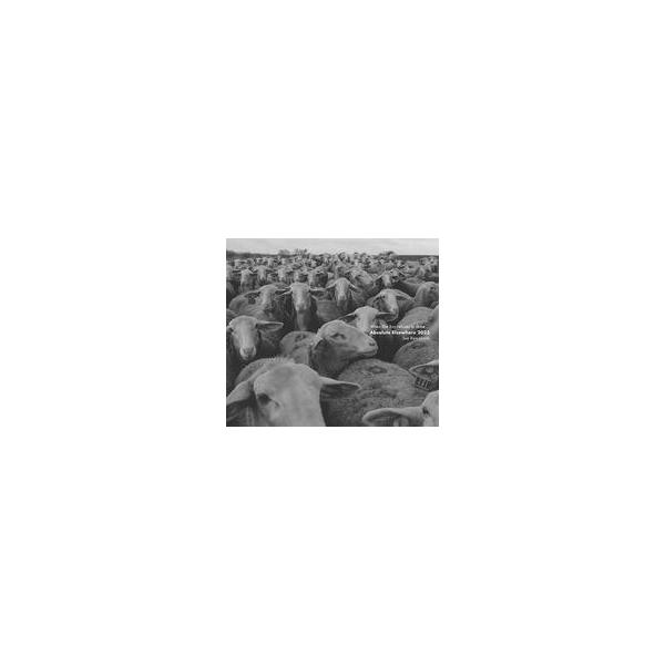 商品名：中古ニューエイジCD Jun Kawabata / Absolute Elsewhere 2023AP-1101[商品仕様]・4折リーフレット付き・リーフレット付き・紙ジャケット仕様used0130_cd