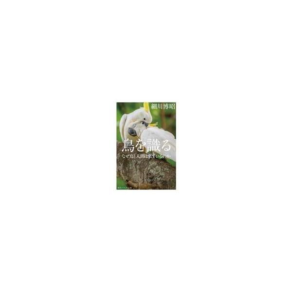 商品名：中古文庫 ≪生物科学・一般生物学≫ 鳥とはどんな生き物なのか  / 細川博昭生物科学・一般生物学角川ソフィア文庫