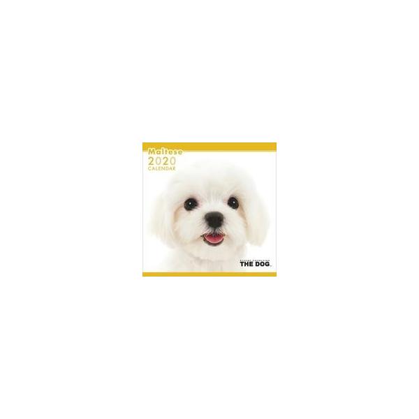 商品名：中古カレンダー THE DOG マルチーズ 2020年度カレンダーCL-1121商品解説■【商品詳細】サイズ：60×30cm仕様：28P(C)artlist