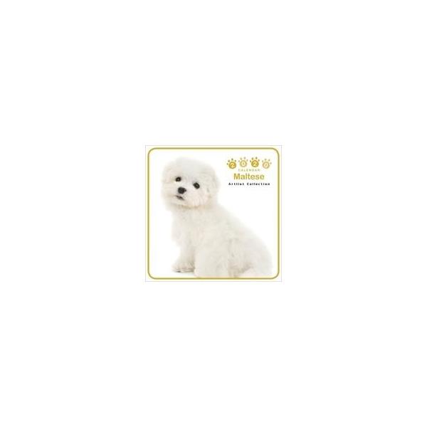 商品名：中古カレンダー THE DOG マルチーズ 2020年度ミニカレンダーCL-1153商品解説■【商品詳細】サイズ：35×17cm仕様：28P(C)artlist