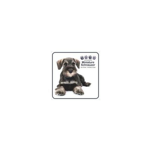 商品名：中古カレンダー THE DOG ミニチュア・シュナウザー 2020年度ミニカレンダーCL-1154商品解説■【商品詳細】サイズ：35×17cm仕様：28P(C)artlist