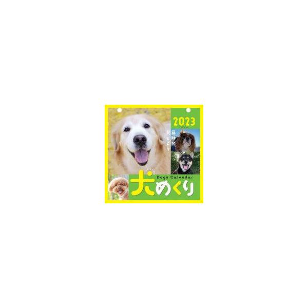 商品名：中古カレンダー 犬めくり 2023年度カレンダーリフィル(台座なし)商品解説■1年365日、犬だらけ!皆様からの投稿写真でつくる日めくりカレンダーの2023年版!!普段飼い主にしか見せない「イチバンかわいい」表情が見られます。愛犬の...