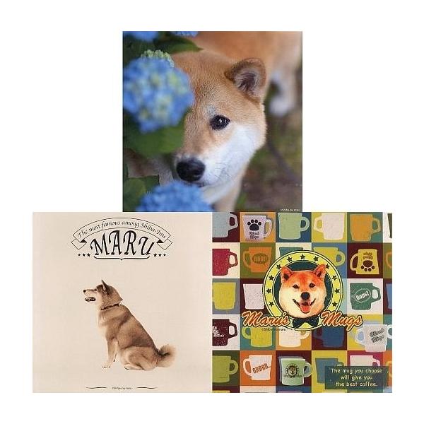 商品名：中古ポスター(アニメ) オリジナルポスター3枚セット A 「みんなのくじ 柴犬まる」 B賞 商品解説■「みんなのくじ 柴犬まる」 B賞 オリジナルポスター3枚セットです。【商品詳細】サイズ：約25×25cm