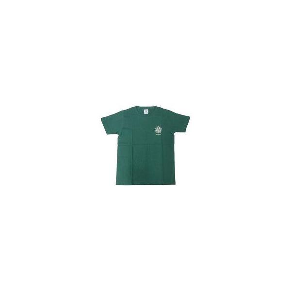 商品名：中古衣類 安田顕 Tシャツ アイビーグリーン Sサイズ 「TEAM NACS 15th project 5D-FIVE DIMENSIONS-/安田顕公演『港町13番勝負 安田顕ひとり語り〜おもだって、僕の父親の話です。』」商品解説...