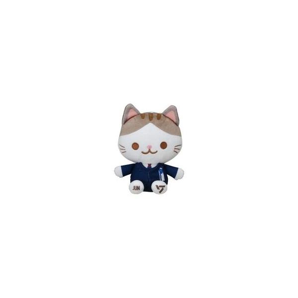 商品名：中古ぬいぐるみ ジュン ANIMAL COORDY ミニぬいぐるみ〜DREAM〜 Vol.2(EX) 「SEVENTEEN」1103548商品解説■SEVENTEENから“ANIMAL COORDY”のシリーズ第2弾が登場。JAPA...