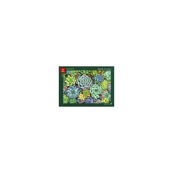 商品名：中古パズル Succulent Wall -多肉植物の壁- プラ製ジグソーパズル 368ピース [P1432]P1432商品解説■Pintoo社のプラ製ジグソーパズルです。【商品詳細】付属品：スタンド完成時サイズ：18.3×12.8...