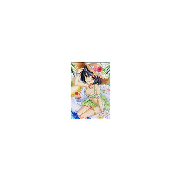 商品名：中古タペストリー 石川弥栄 Enjoy Summer B2タペストリー 「AMBITIOUS MISSION」 Character Goods Festa2023夏グッズ商品解説■アンミツヒロインの新規描き下ろし水着イラストがB2タ...