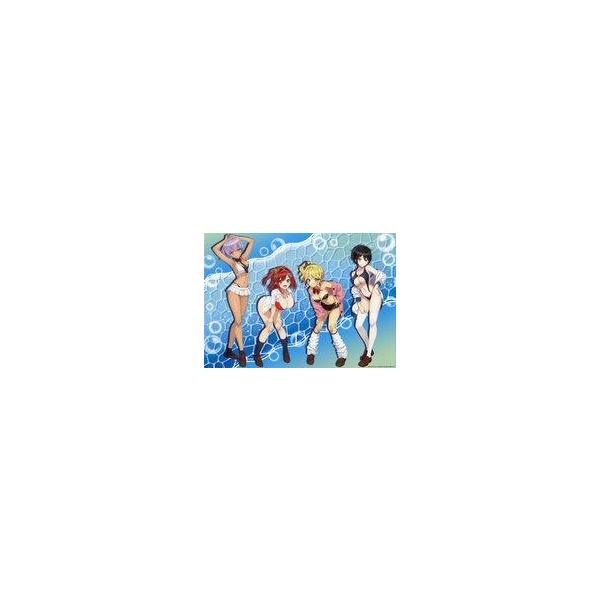 商品名：中古紙製品 集合 A3ビジュアルパネル 「WEBくじ ドルフィンウェーブ -1st WAVE.-」 B賞商品解説■「WEBくじ ドルフィンウェーブ -1st WAVE.-」B賞の『A3ビジュアルパネル』になります。【商品詳細】サイズ：A3