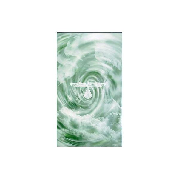 商品名：中古邦楽 VHS MALICE MIZER/merveilles-cinq parallele-COVA-50023