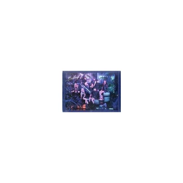 商品名：中古文房具その他(女性アイドル) TWICE ファイルケース(A4サイズ) 「CD Breakthrough」 ONCE JAPAN・ONCE JAPAN MOBILE会員 3形態購入特典商品解説■TWICE シングル「Breakt...