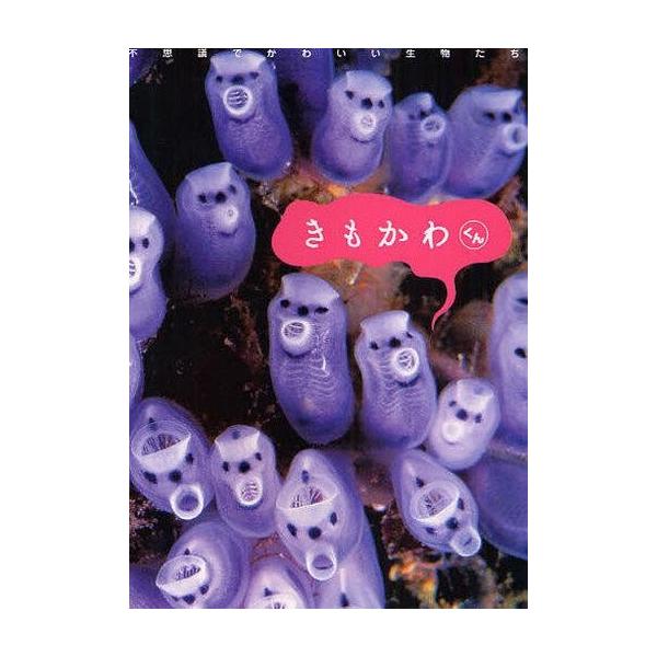 商品名：中古単行本(実用) ≪動物学≫ きもかわくん 不思議でかわいい生物たち☆動物学エッセイ・随筆