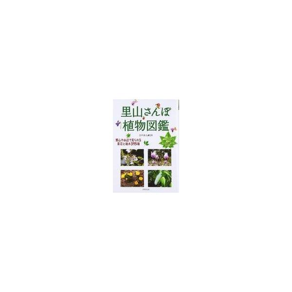 商品名：中古単行本(実用) ≪植物学≫ 里山さんぽ植物図鑑植物学趣味・雑学