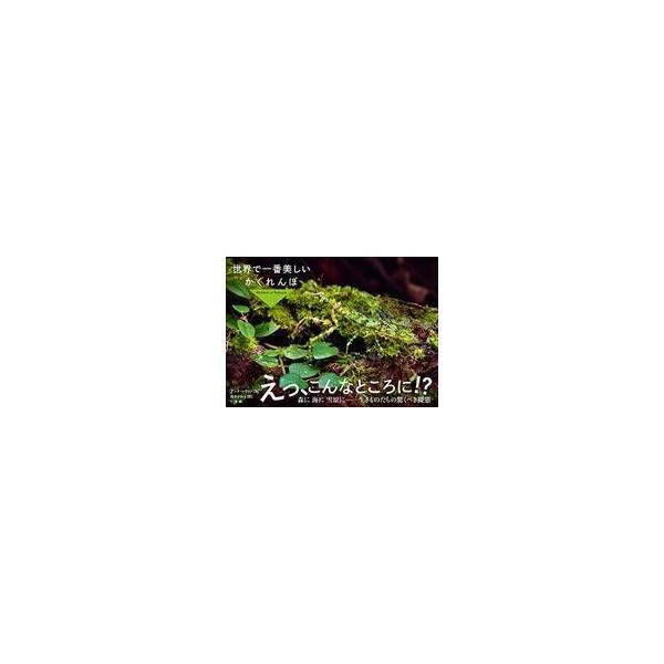商品名：中古単行本(実用) ≪科学・自然≫ Hidden in Nature 世界で一番美しいかくれんぼ科学・自然