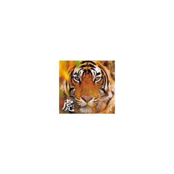 商品名：中古単行本(実用) ≪動物学≫ 虎動物学