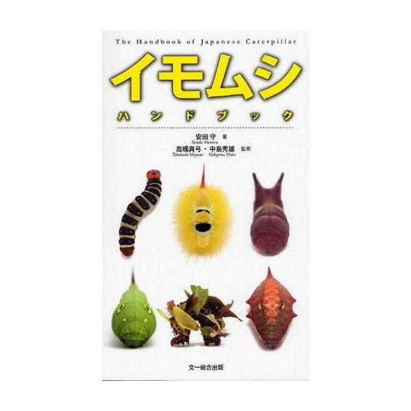 商品名：中古単行本(実用) ≪動物学≫ イモムシハンドブック動物学科学・自然