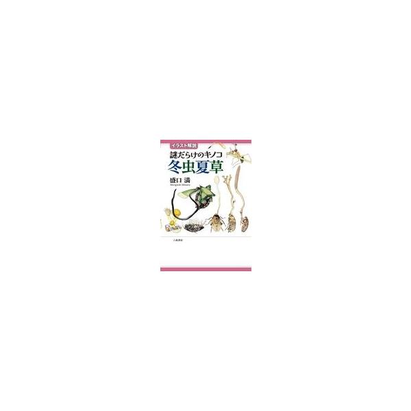 商品名：中古単行本(実用) ≪生物科学・一般生物学≫ イラスト解説 謎だらけのキノコ 冬虫夏草 / 盛口満生物科学・一般生物学【内容紹介】ゲッチョ先生とふしぎのキノコを探しに行こう!冬虫夏草とは?に始まり、出会うコツから掘り出すときの注意点...