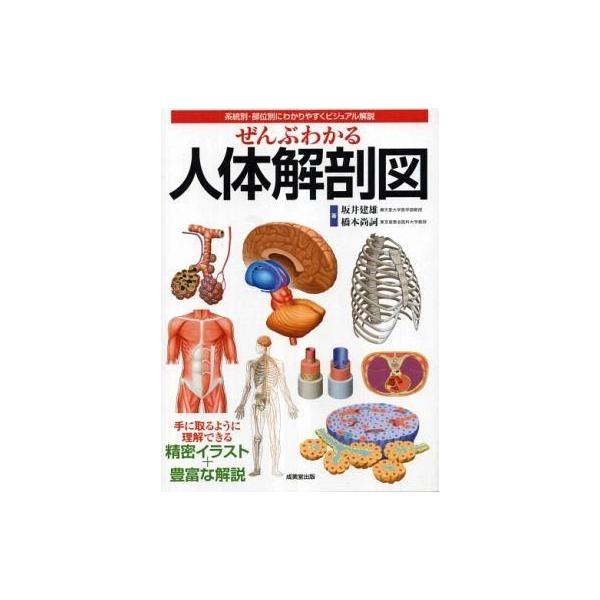 商品名：中古単行本(実用) ≪医学≫ ぜんぶわかる 人体解剖図医学健康・医療