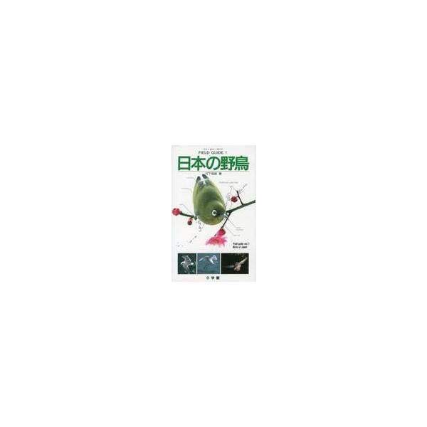 商品名：中古単行本(実用) ≪動物学≫ フィール・ガイド1 日本の野鳥 / 竹下信雄動物学単行本