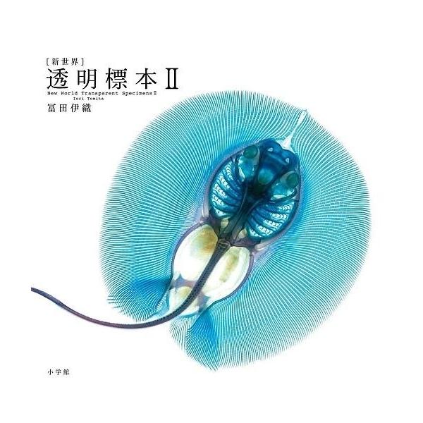 商品名：中古単行本(実用) ≪動物学≫ 新世界透明標本 2動物学芸術・アート