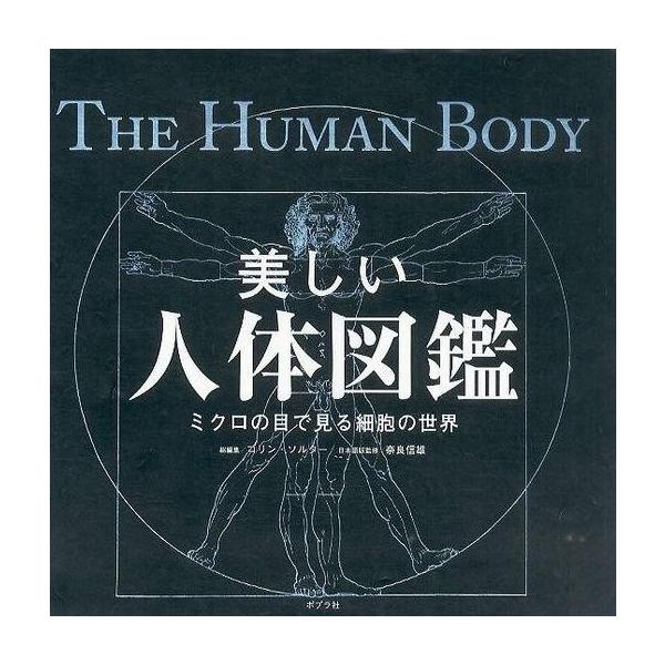 商品名：中古単行本(実用) ≪医学≫ 美しい人体図鑑 ミクロの目で見る細胞の世界医学健康・医療