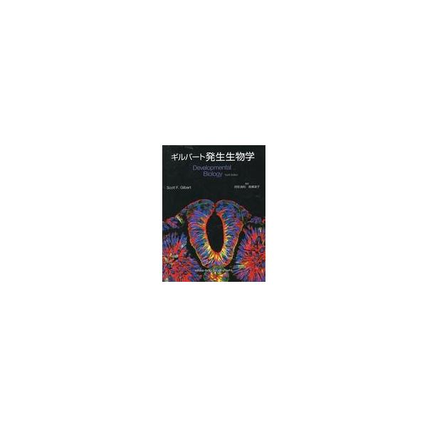 商品名：中古単行本(実用) ≪動物学≫ ギルバート発生生物学動物学　
