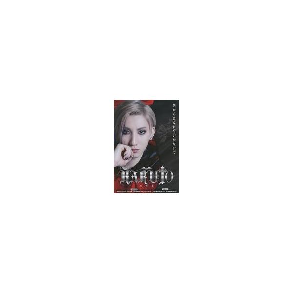 商品名：中古販促品 ≪演劇≫ フライヤー)ミュージカル HARUTO ハルト販促品