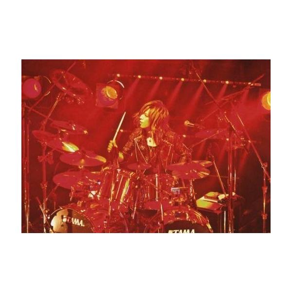 商品名：中古生写真(男性) DELUHI/Sujk(スーク)/ライブフォト・横型・ドラムセット・ライト赤・顔左向き/アーティスト生写真生写真(男性)/ヴィジュアル系バンド/DELUHI