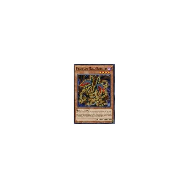 商品名：中古遊戯王 INOV-EN007[N]：Predaplant Moray Nepenthes/捕食植物モーレイ・ネペンテス遊戯王/N/効果モンスター/英語版/Invasion：Vengeance分類：効果モンスター/レア度：Nシリー...