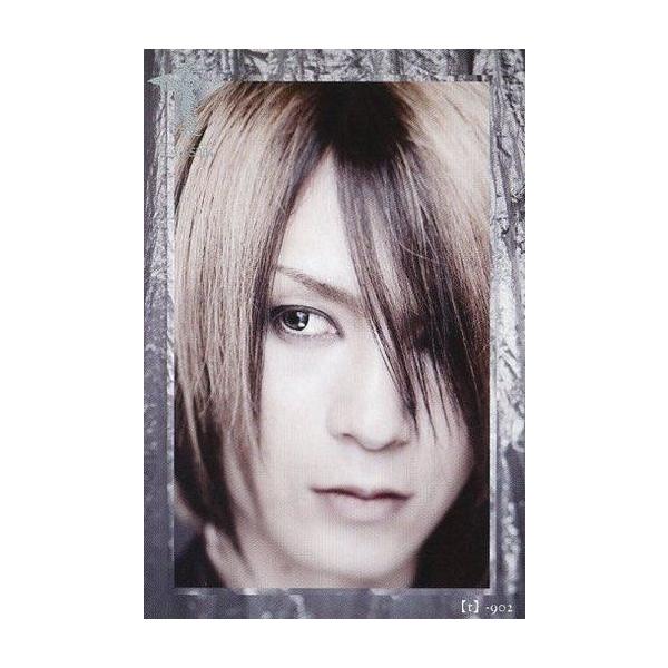 商品名：中古コレクションカード(男性) 【t】-902：ナイトメア/咲人/NIGHTMARE PAREDE TOUR FINAL MAJESTICコレクションカード(男性)/NIGHTMARE PAREDE TOUR FINAL MAJES...