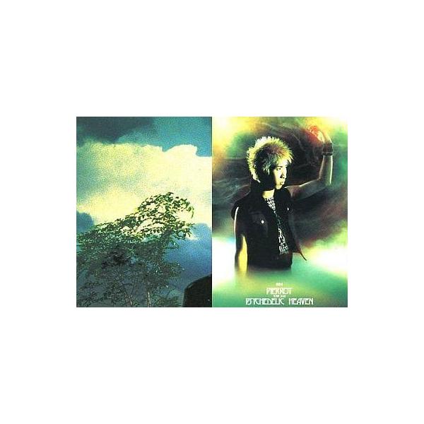 商品名：中古コレクションカード(男性) 084[レギュラーカード]：PIERROT/KOHTA/レギュラーカード/PIERROT Arlequin Limited Circuit SUBLIMINAL FLOWERSコレクションカード(男性...