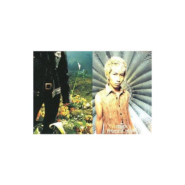 商品名：中古コレクションカード(男性) 086[レギュラーカード]：PIERROT/KOHTA/レギュラーカード/PIERROT Arlequin Limited Circuit SUBLIMINAL FLOWERSコレクションカード(男性...