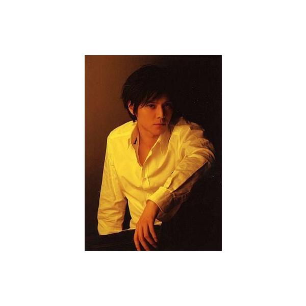 商品名：中古生写真(男性) 河合龍之介(日吉若)/白シャツ/左手前/座り/ミュージカルテニスの王子様 Advancement Match 六角 feat.氷帝学園生写真(男性)/俳優