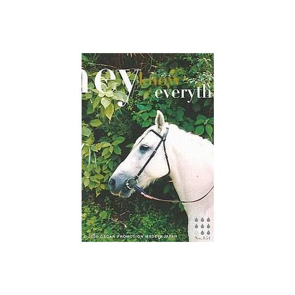 商品名：中古コレクションカード(女性) [Viriditas]：054/米倉涼子コレクションカード(女性)/トレカ/notioレア度：Viriditasレア度：Viriditas used0130_tradingcard