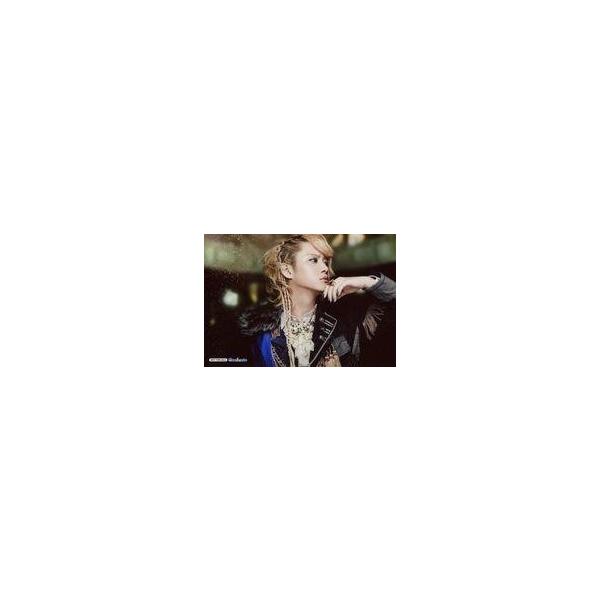 商品名：中古生写真(男性) The Brow Beat/Ryuji(佐藤流司)/横型/CD「Hameln」アニメイト特典ブロマイド生写真(男性)/バンド/The Brow Beat