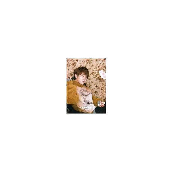 商品名：中古コレクションカード(男性) 012：超新星/ユナク(YoonHak)/「超新星 LIVE TOUR 2017 〜2U〜」トレーディングカードコレクションカード(男性)/「超新星 LIVE TOUR 2017 〜2U〜」トレーディ...