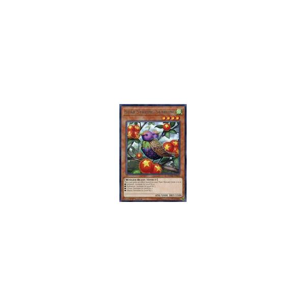 商品名：中古遊戯王 DANE-EN024[R]：Star Staring Starling/星向鳥遊戯王/R/効果モンスター/英語版/Dark Neostorm分類：効果モンスター/レア度：Rシリーズ：英語版/Dark Neostormus...