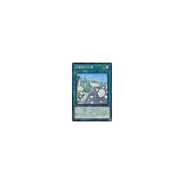 商品名：中古遊戯王 20PP-JP011[N]：白薔薇の回廊遊戯王/N/魔法/プレミアムパック2020分類：ノーマル/レア度：Nシリーズ：プレミアムパック2020used0130_tradingcard