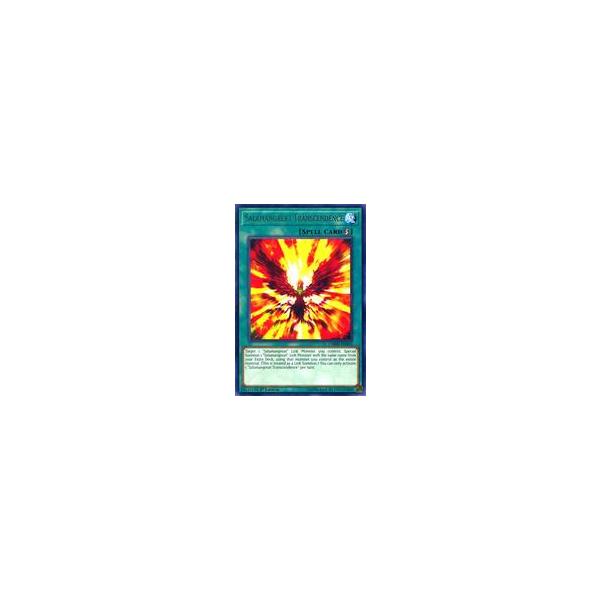 商品名：中古遊戯王 CHIM-EN052[R]：Salamangreat Transcendence/転生炎獣の超転生遊戯王/R/魔法/英語版/Chaos Impact分類：魔法/レア度：Rシリーズ：英語版/Chaos Impactused...