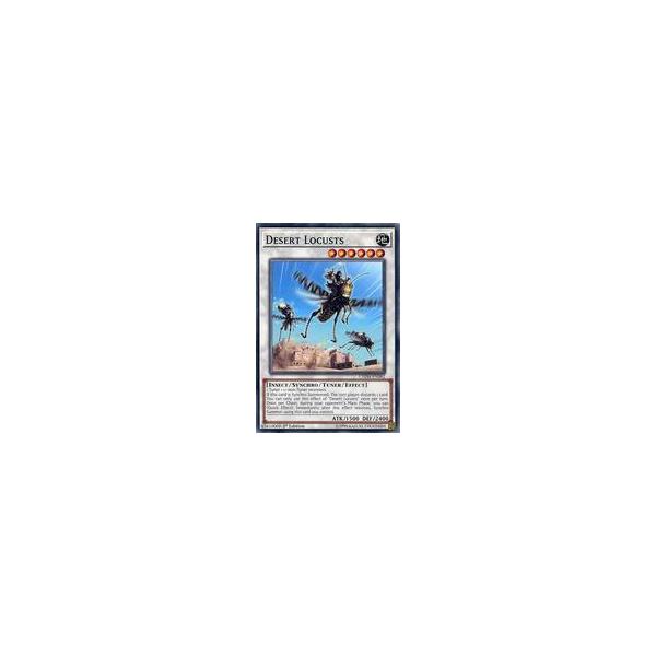 商品名：中古遊戯王 CHIM-EN082[N]：Desert Locusts/砂漠の飛蝗賊遊戯王/N/シンクロモンスター/英語版/Chaos Impact分類：シンクロモンスター/レア度：Nシリーズ：英語版/Chaos Impactused...