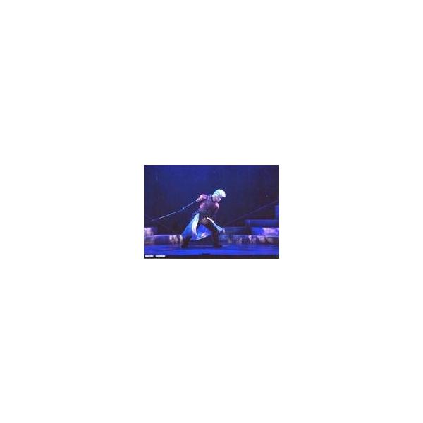 商品名：中古生写真(男性) 佐藤アツヒロ(ノエル)/ライブフォト・右向き/DVD「舞台『SaGa THE STAGE 〜七英雄の帰還』限定予約版」封入特典劇中ブロマイド生写真(男性)/俳優