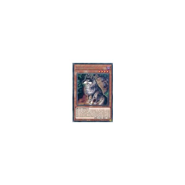 商品名：中古遊戯王 MP20-EN015[R]：Aloof Lupine/孤高除獣遊戯王/R/効果モンスター/英語版/2020 Tin of Lost Memories分類：効果モンスター/レア度：Rシリーズ：英語版/2020 Tin of...