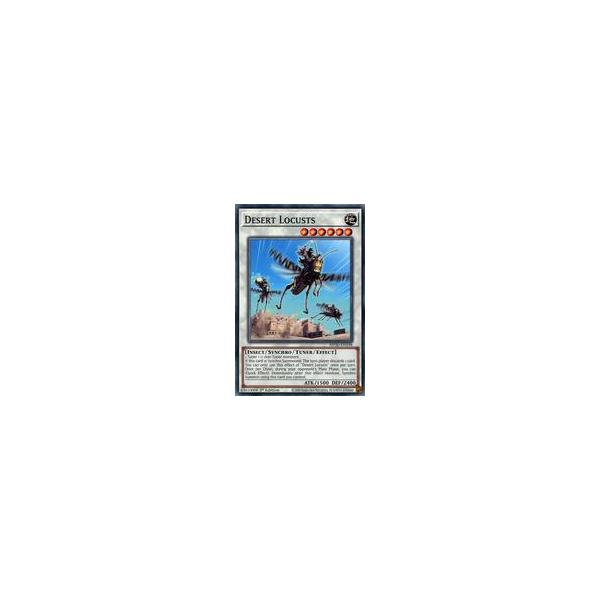 商品名：中古遊戯王 MP20-EN198[N]：Desert Locusts/砂漠の飛蝗賊遊戯王/N/シンクロモンスター/英語版/2020 Tin of Lost Memories分類：シンクロモンスター/レア度：Nシリーズ：英語版/202...