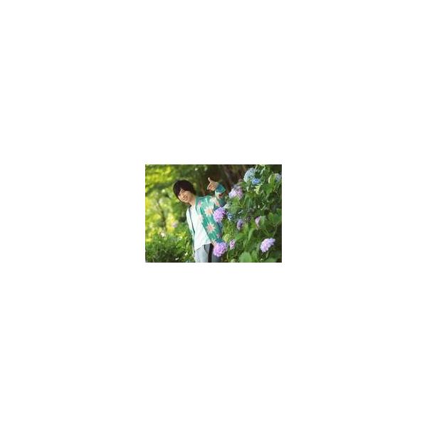商品名：中古生写真(男性) 寺島惇太/横型・2Lサイズ/「寺島惇太バースデー Talk＆Liveイベントin東京」ブロマイド生写真(男性)/声優