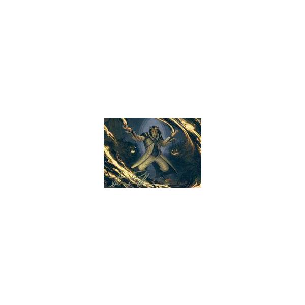 商品名：中古アニメ系トレカ 3/81：Leonin Lightscribe(アーティスト金箔押しサイン入り)アニメ系トレカ/ストリクスヘイヴン：魔法学院 イラストコレクション 英語版used0130_tradingcard