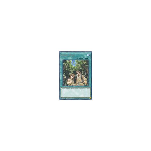 商品名：中古遊戯王 ANGU-EN051[R]：Snake Rain/スネーク・レイン遊戯王/R/魔法/英語版/Ancient Guardians分類：魔法/レア度：Rシリーズ：英語版/Ancient Guardiansused0130_t...