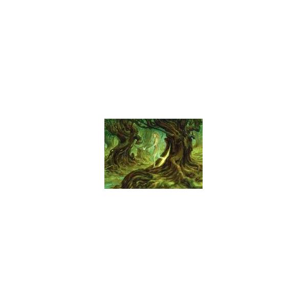 商品名：中古アニメ系トレカ 69/81：Neverwinter Dryadアニメ系トレカ/フォーゴトン・レルム探訪 イラストコレクション 英語版used0130_tradingcard