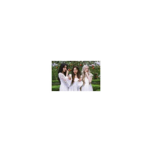 商品名：中古コレクションカード(女性) GFRIEND/ソウォン(Sowon)・オムジ(Umji)・イェリン(Yerin)/CD「回：Song of the Sirens」予約特典フォトカードコレクションカード(女性)/CD「回：Song ...
