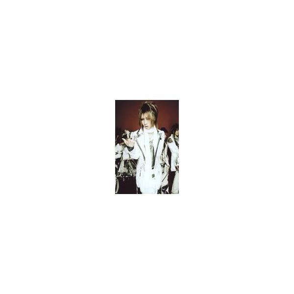 商品名：中古生写真(男性) ウ゛ィドール/樹威(ジュイ)/「ウ゛ィドール TOUR ’07 〜Meld Park〜」アーティストフォト生写真(男性)/ヴィジュアル系ロックバンド/ヴィドール