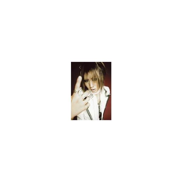 商品名：中古生写真(男性) ウ゛ィドール/樹威(ジュイ)/「ウ゛ィドール TOUR ’07 〜Meld Park〜」アーティストフォト生写真(男性)/ヴィジュアル系ロックバンド/ヴィドール